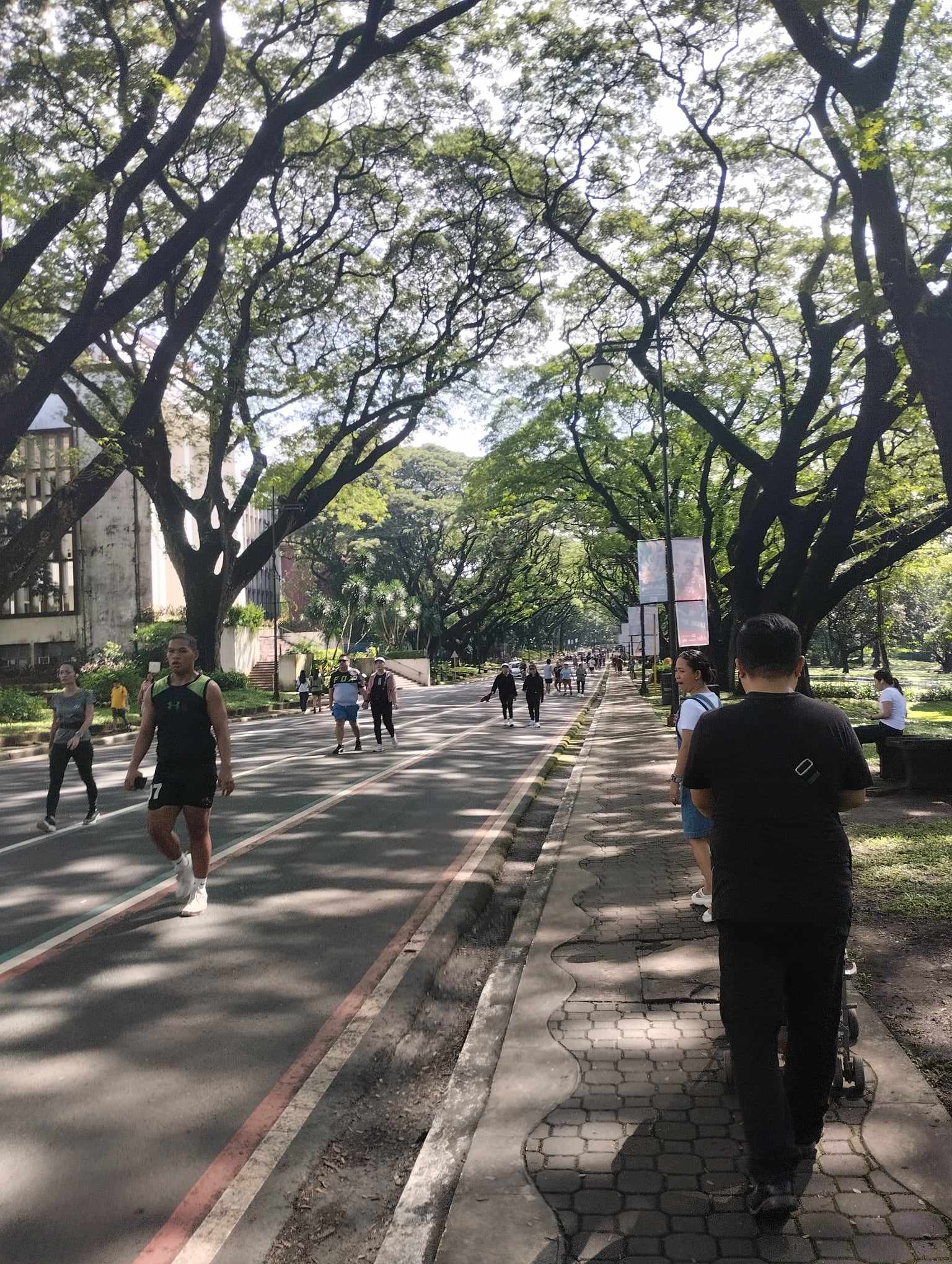 What’s It Like Inside the University of the Philippines? – 株式会社Up | 二人 ...